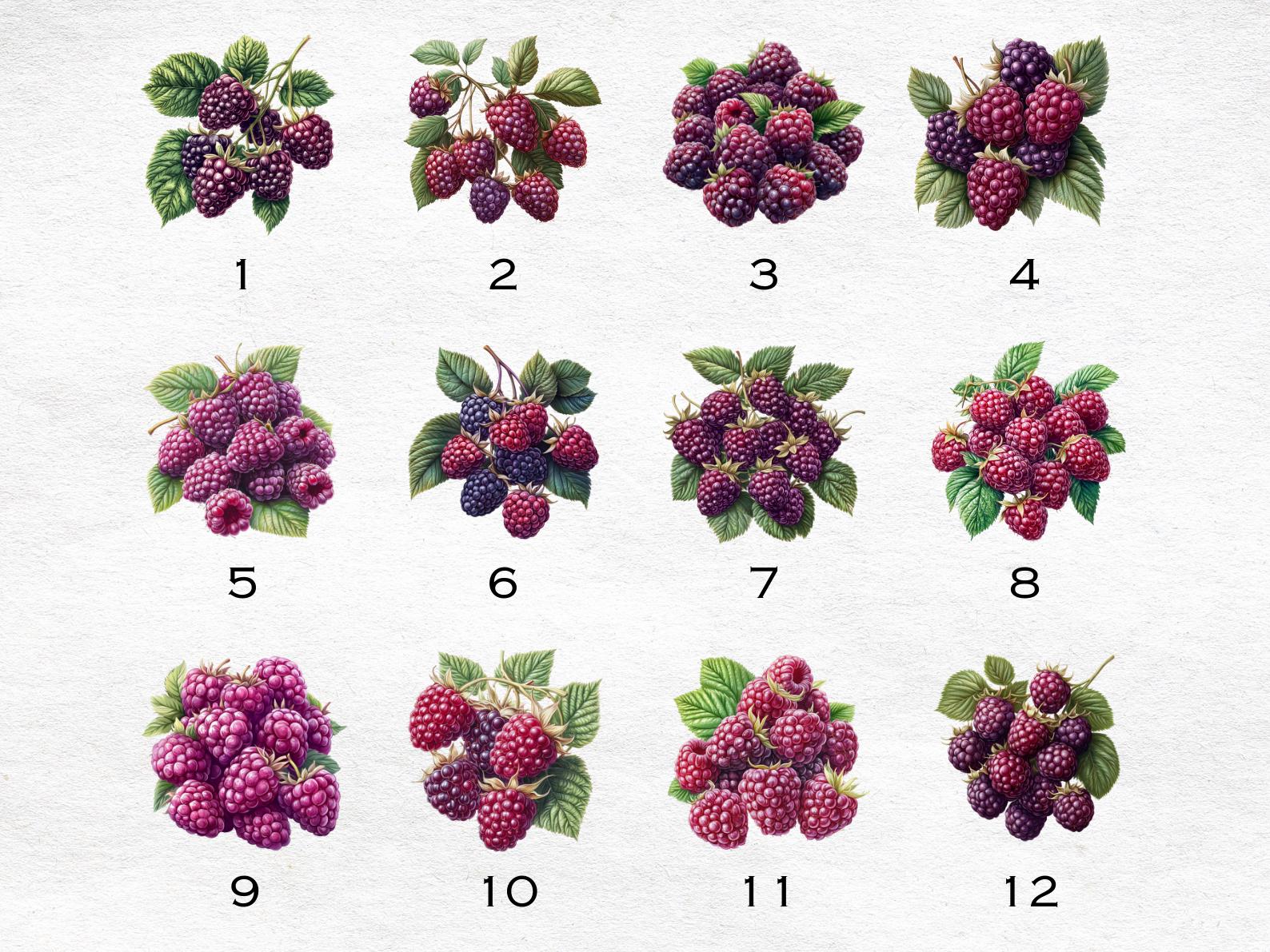 12 Raspberries Clipart Bundle, Printable Watercolour, JPG Set Junk ...