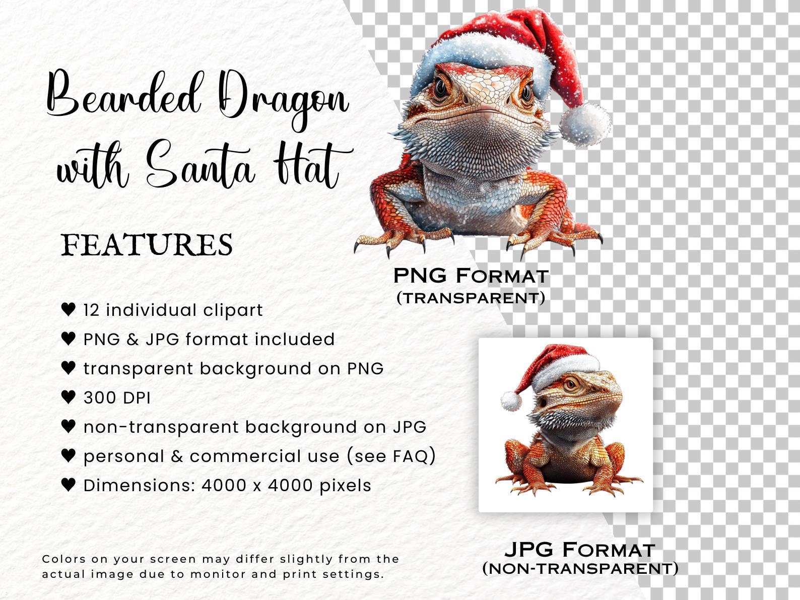 12 Bearded Dragon With Santa Hat Clipart Bundle, Printable Watercolour ...