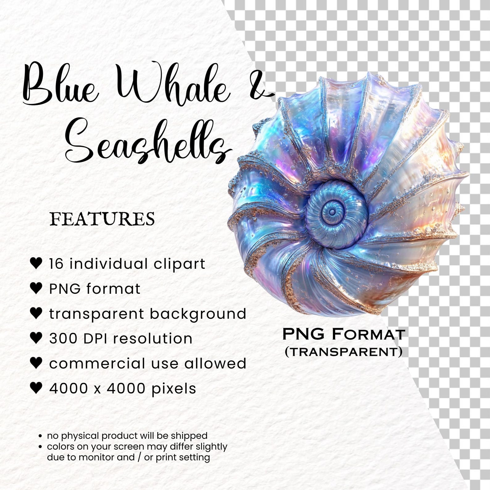 16 Blue Whale Seashells Clipart PNG Bundle, Digital Graphic, Ocean ...
