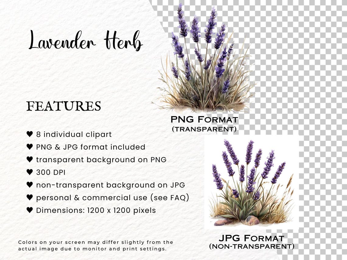 Lavender Watercolor Clipart Bundle: Rustic Herb PNG JPG (commercial Use ...