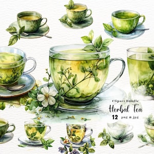 Herbal Tea Clipart Bundle: Watercolor Green Tea Graphics (PNG, JPG) - Etsy