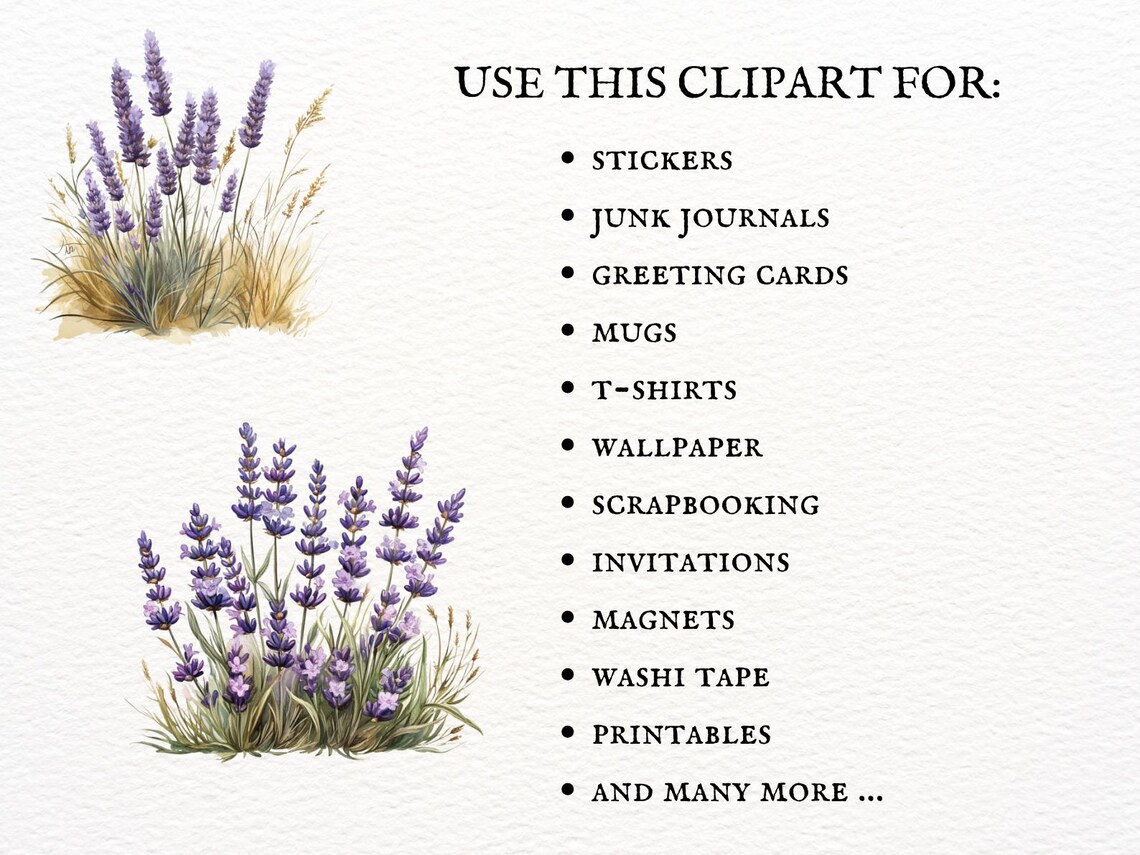 Lavender Watercolor Clipart Bundle: Rustic Herb PNG JPG (commercial Use ...