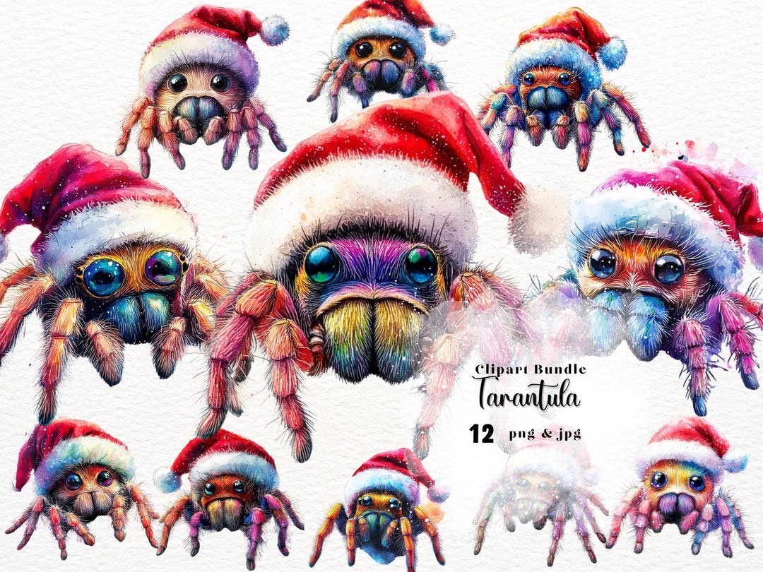 12 Tarantula With Santa Hat Clipart Bundle, Printable Watercolour, JPG ...