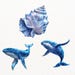 16 Blue Whale Seashells Clipart PNG Bundle, Digital Graphic, Ocean ...
