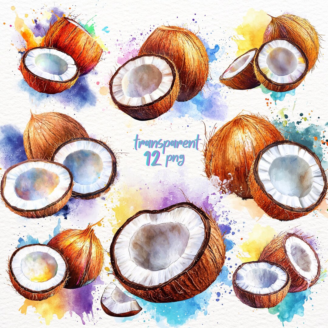 Tropical Coconut Clipart: Watercolor PNG Bundle, Commercial Use ...