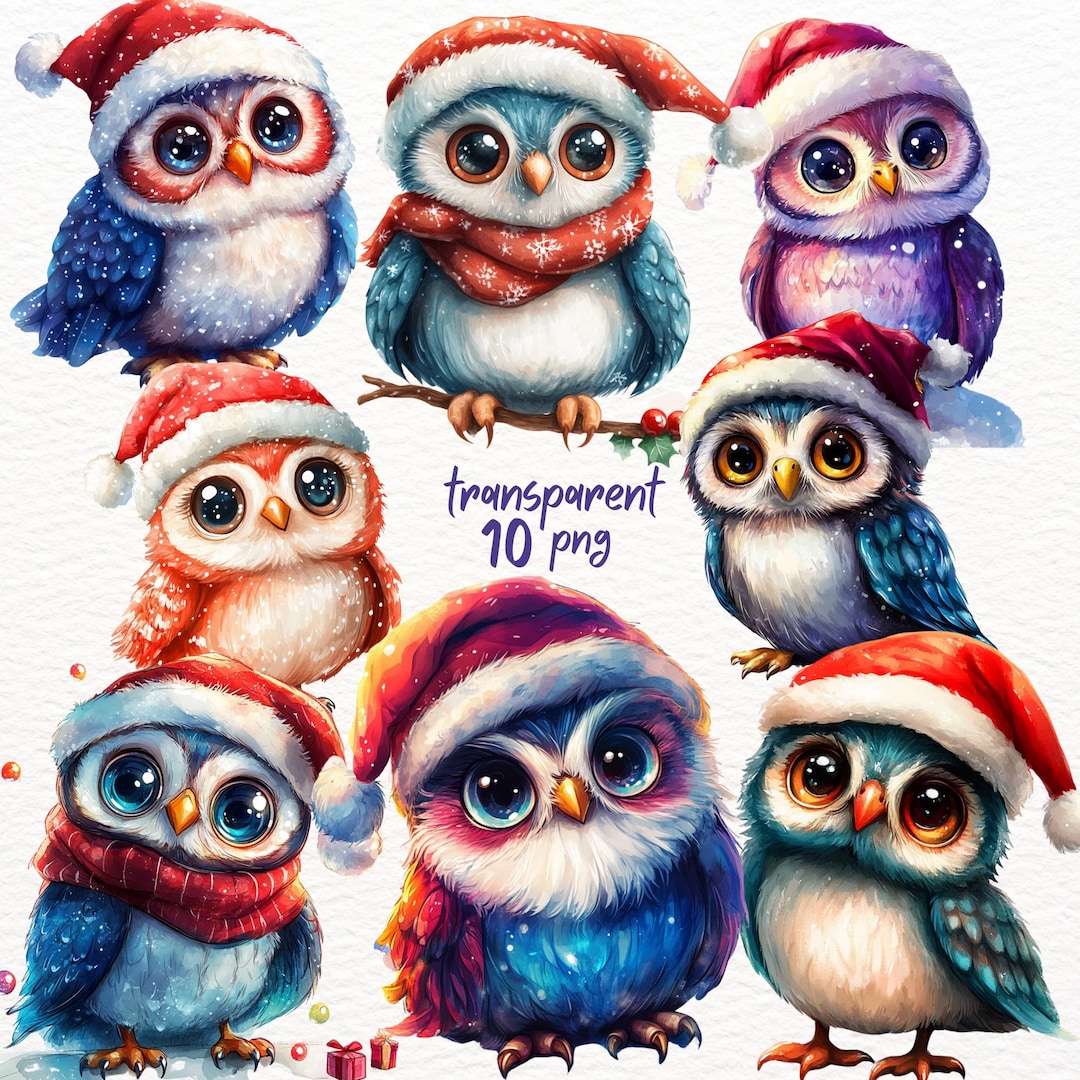 Xmas Owl Clipart PNG Bundle: Festive Holiday Graphics (commercial Use ...