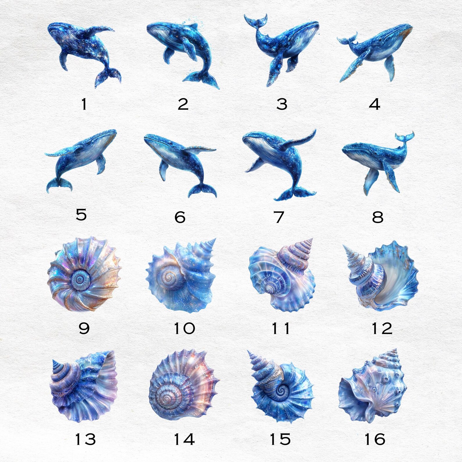 16 Blue Whale Seashells Clipart PNG Bundle, Digital Graphic, Ocean ...