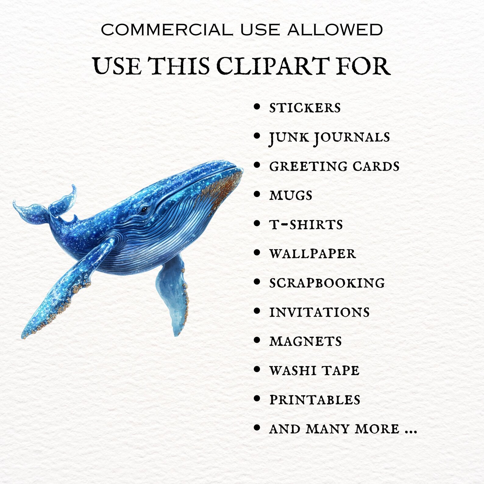 16 Blue Whale Seashells Clipart PNG Bundle, Digital Graphic, Ocean ...