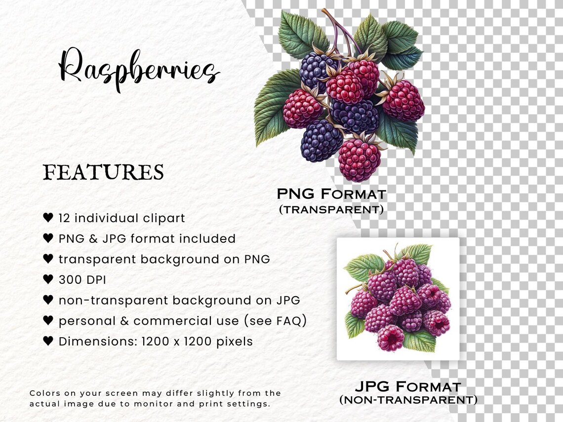 12 Raspberries Clipart Bundle, Printable Watercolour, JPG Set Junk ...