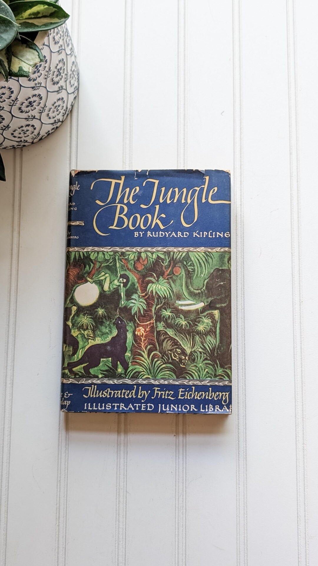 The Jungle Book: Illustrated Junior Library Edition - Etsy