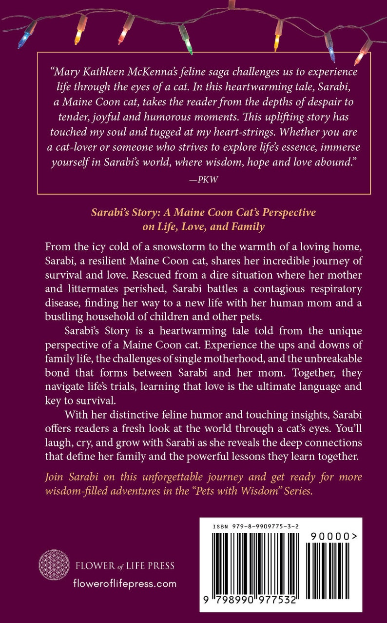 Sarabi's Story Book and Notecard Bundle - Etsy