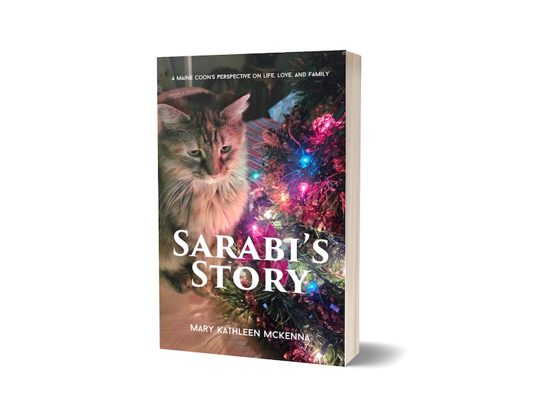 Sarabi's Story Book and Notecard Bundle - Etsy