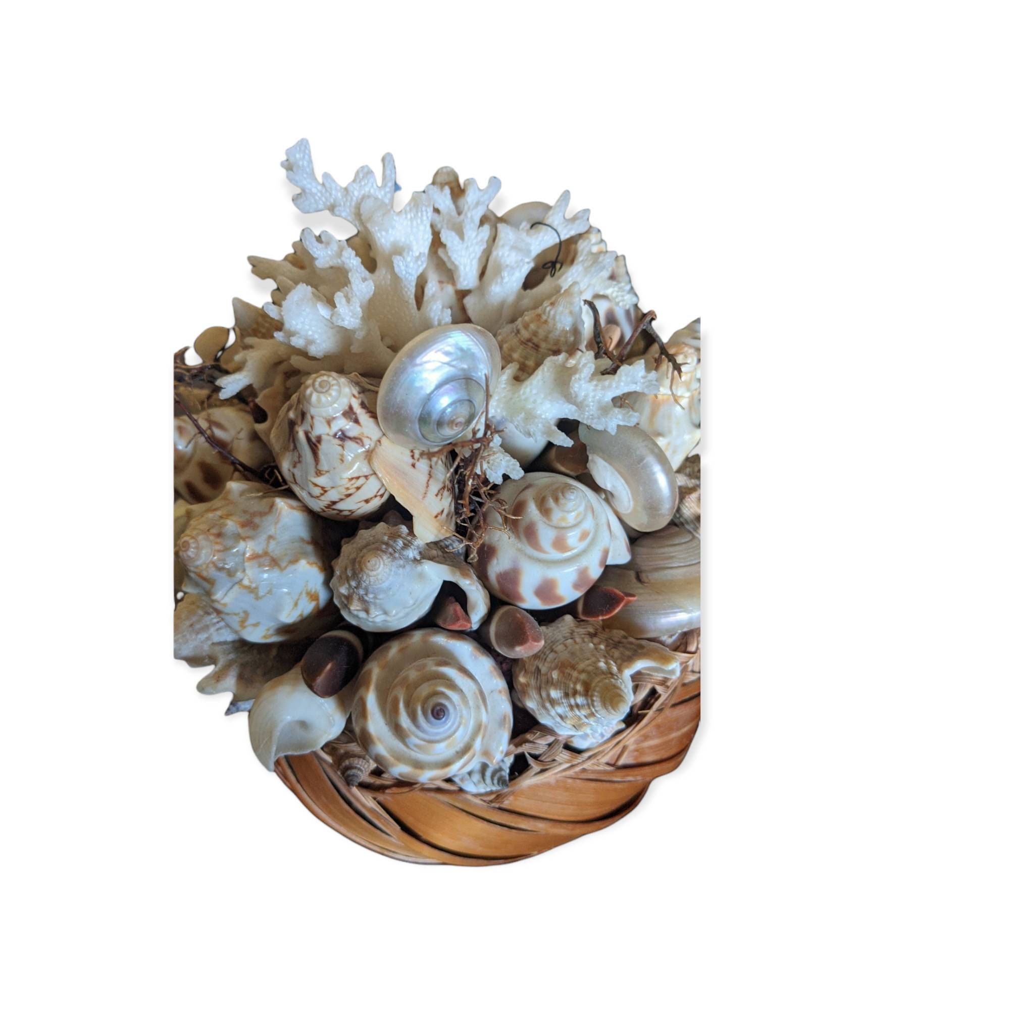 Shell Bouquet / Sculpture / Basket / Beach Home Decor / Southern ...