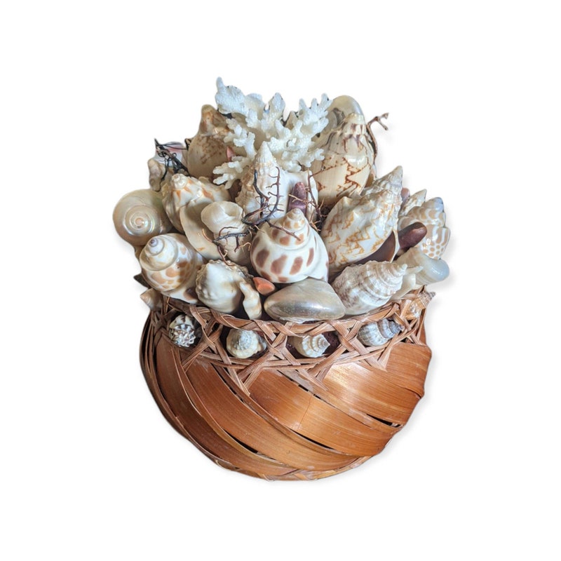 Shell Bouquet - Etsy