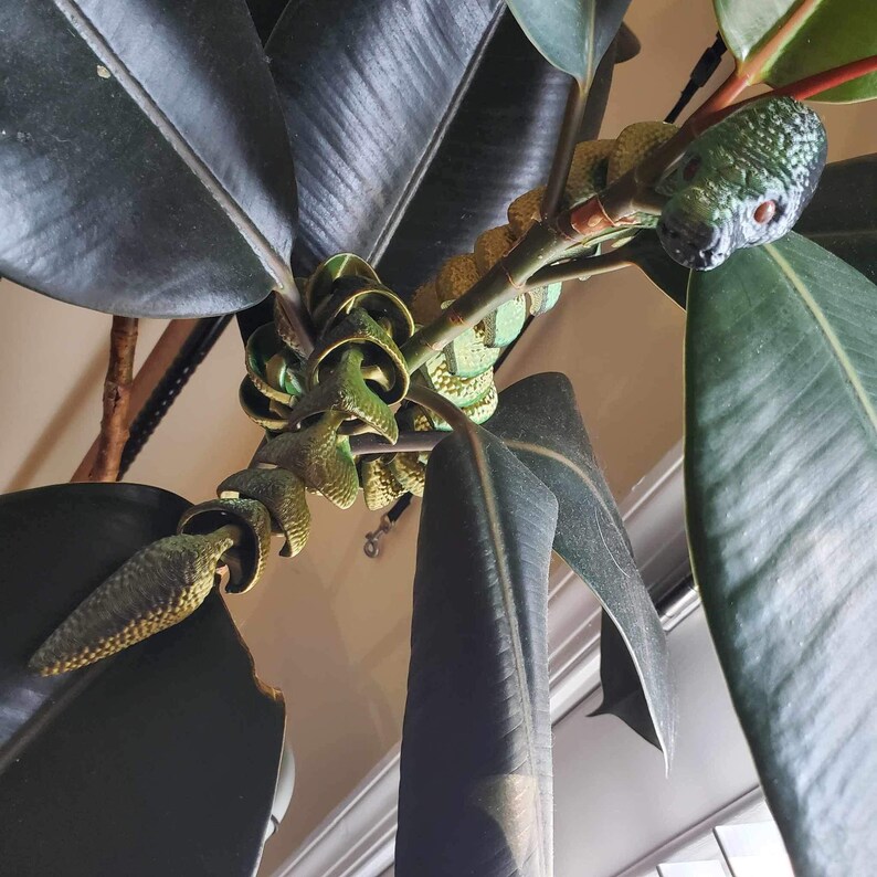 Articulated Ball Python 3d Printed Pet Snake 24 Inches 2feet - Etsy