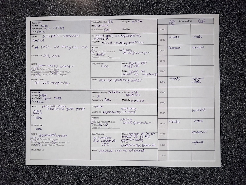 2-patient Timeline Nurse Report Sheet, Timeline Included, Nurse Brain ...