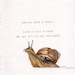 Snail Series 1: Advice From a Snail (print) - Etsy