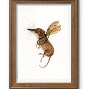 The Shrew Who Flew (print) - Etsy UK