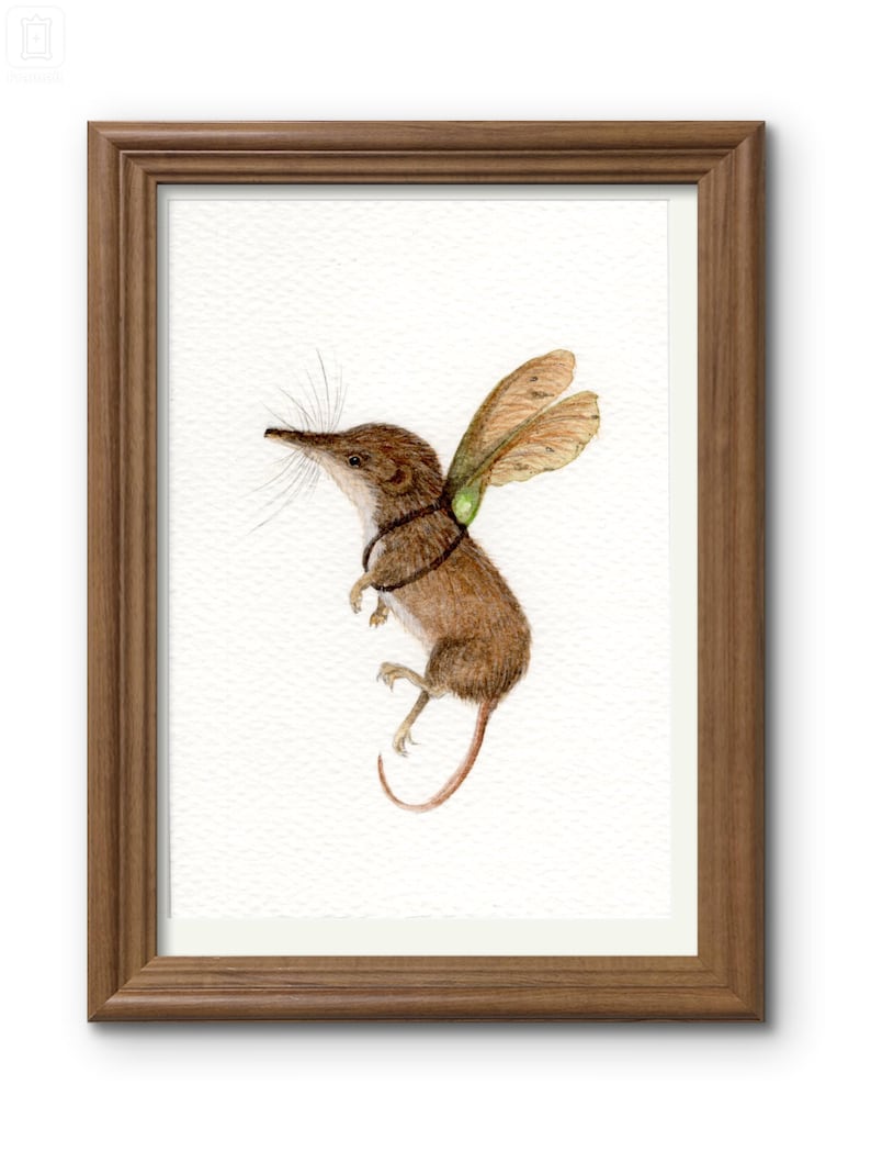 The Shrew Who Flew (print) - Etsy UK