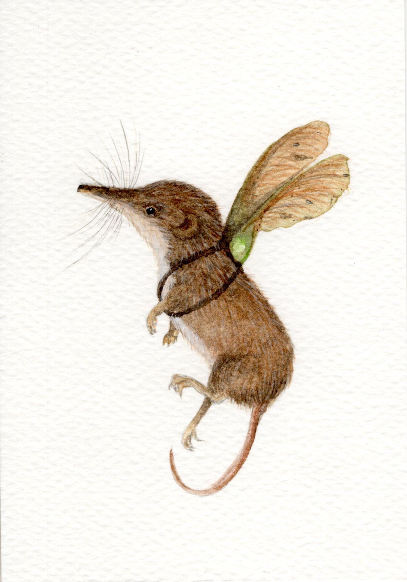 The Shrew Who Flew (print) - Etsy UK