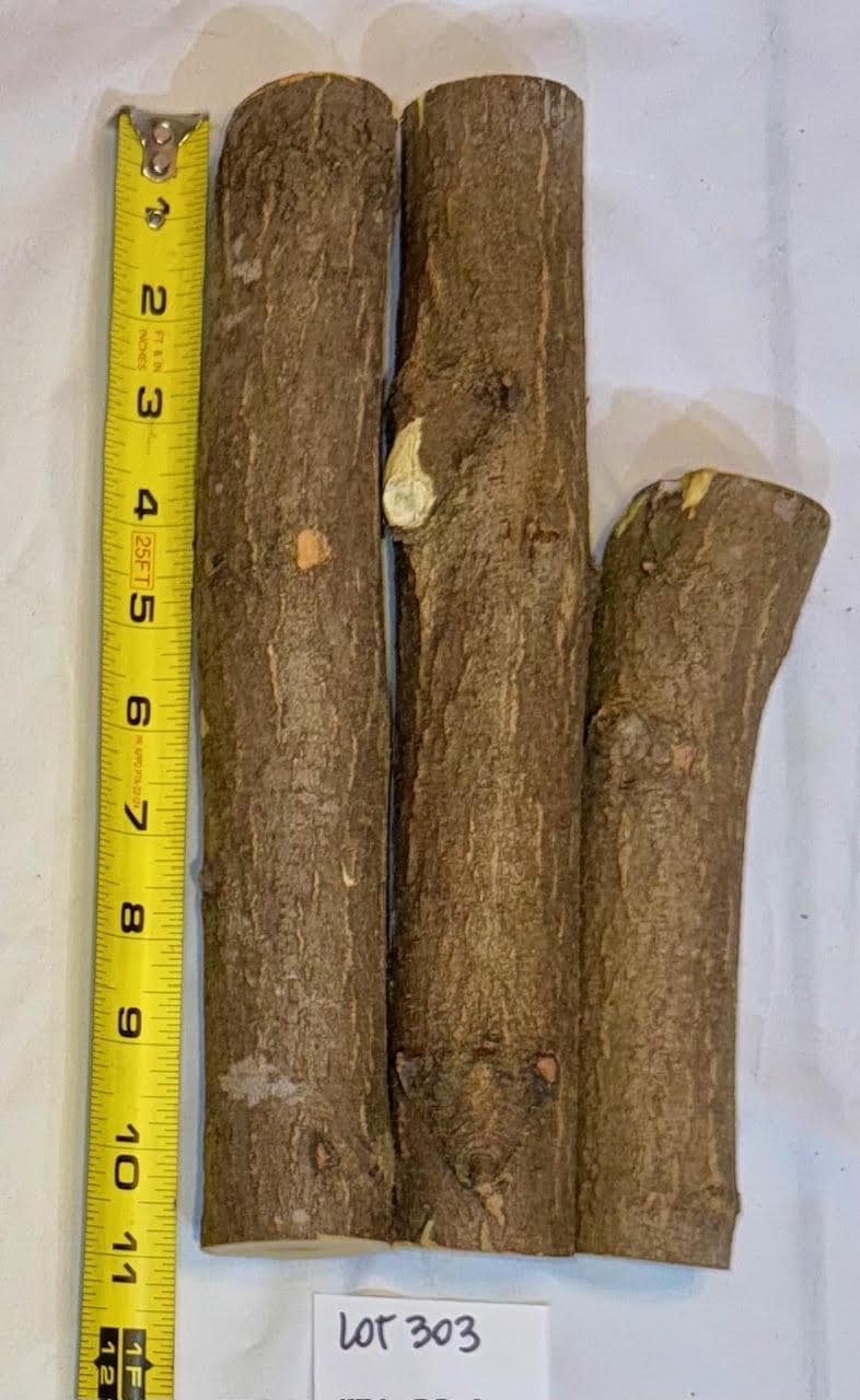 3 Pieces Black Locust Craft Logs, Green Project Wood for Wood Carving ...