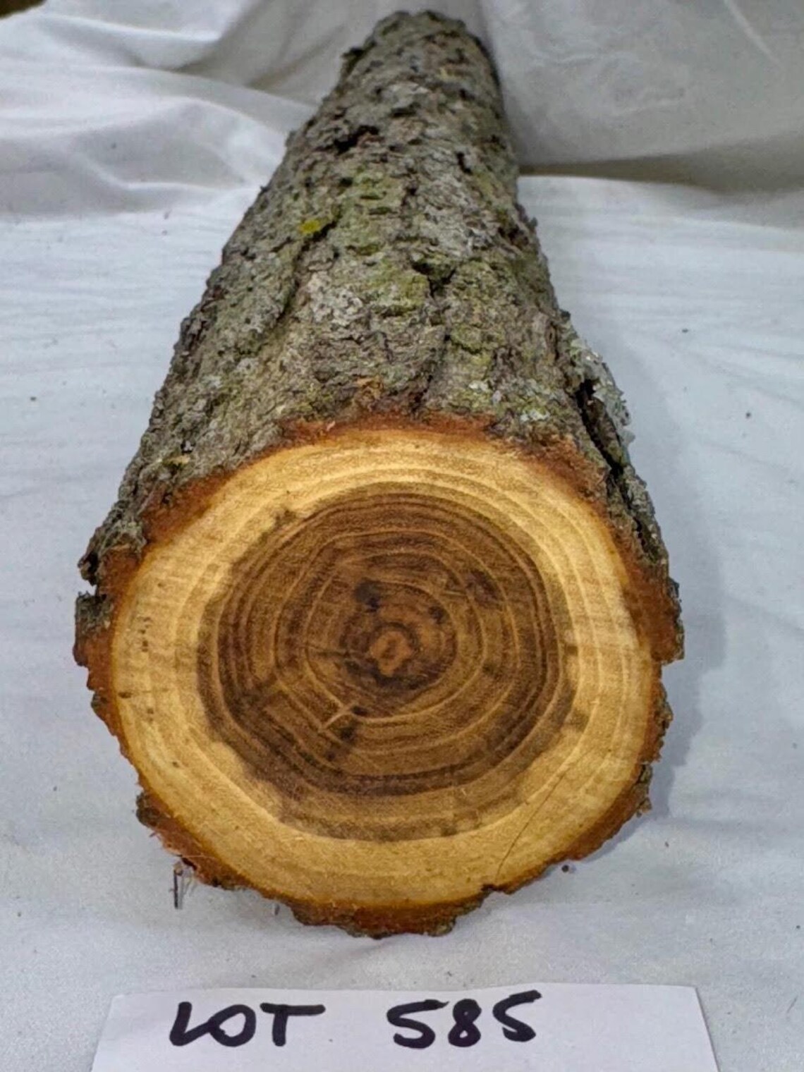 Black Locust Wood Project Log, Craft Woodworking Blank (29x3.5 Inches ...