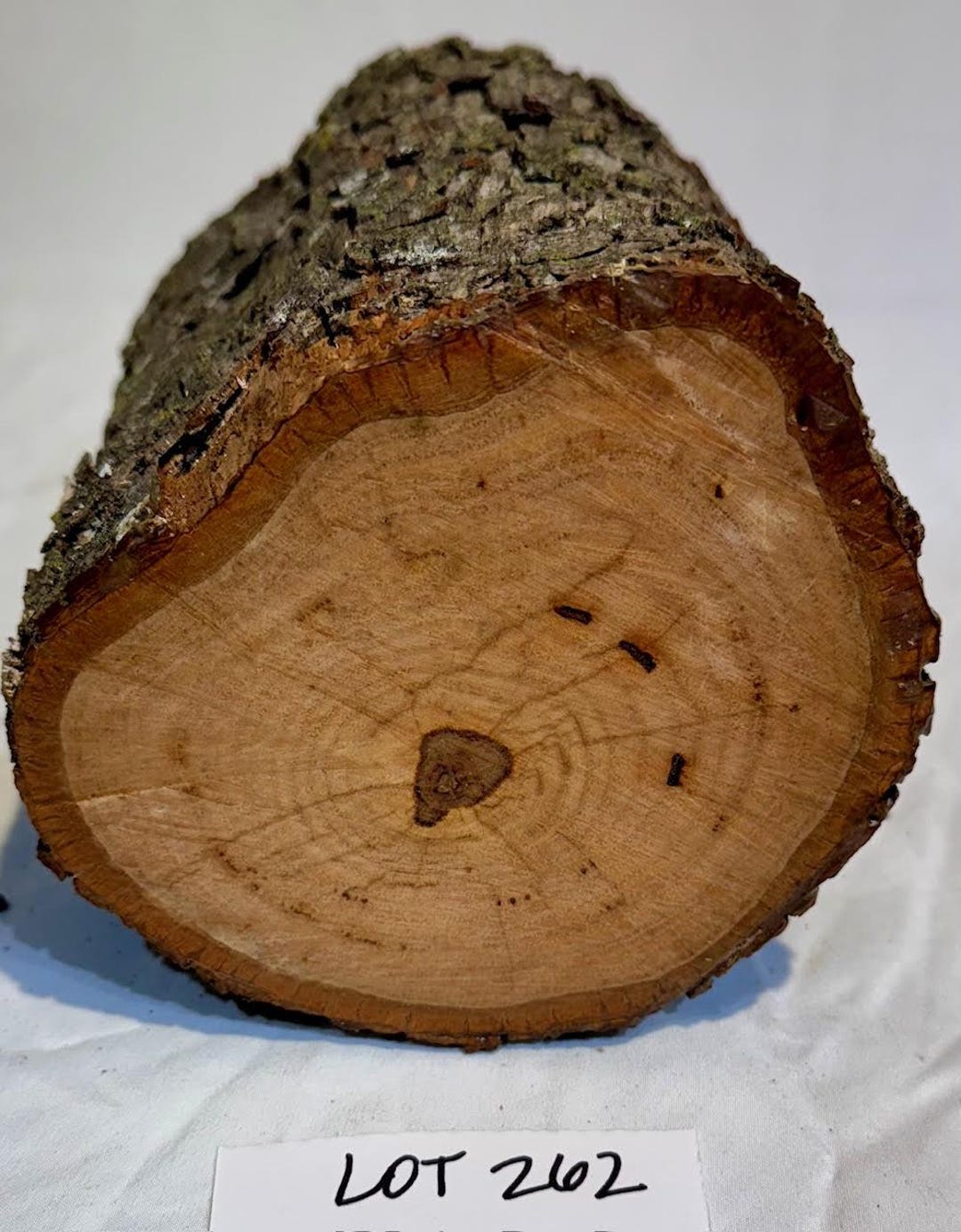 Pecky Pecan Project Log, Green Wood Turning and Carving Blank for Wood ...