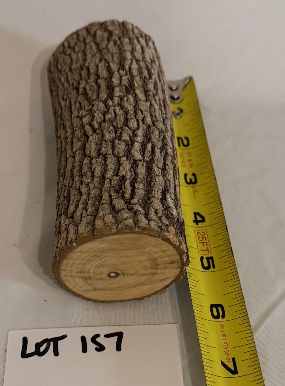 One Piece Ash Craft Log for Woodturning, Woodworking, Woodcarving ...