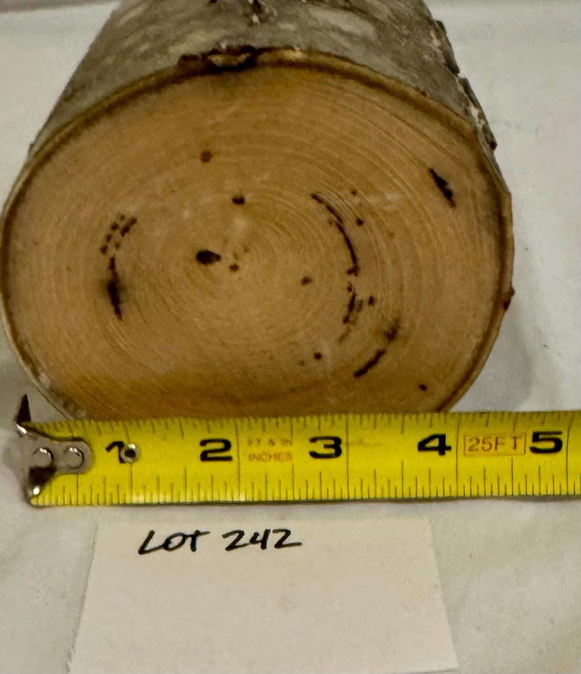 Hackberry Project Log, Green Project Wood for Wood Working, Wood Carving, Wood Turning, Crafts ...