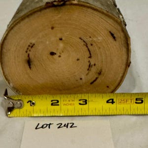 Hackberry Project Log, Green Project Wood for Wood Working, Wood Carving, Wood Turning, Crafts ...