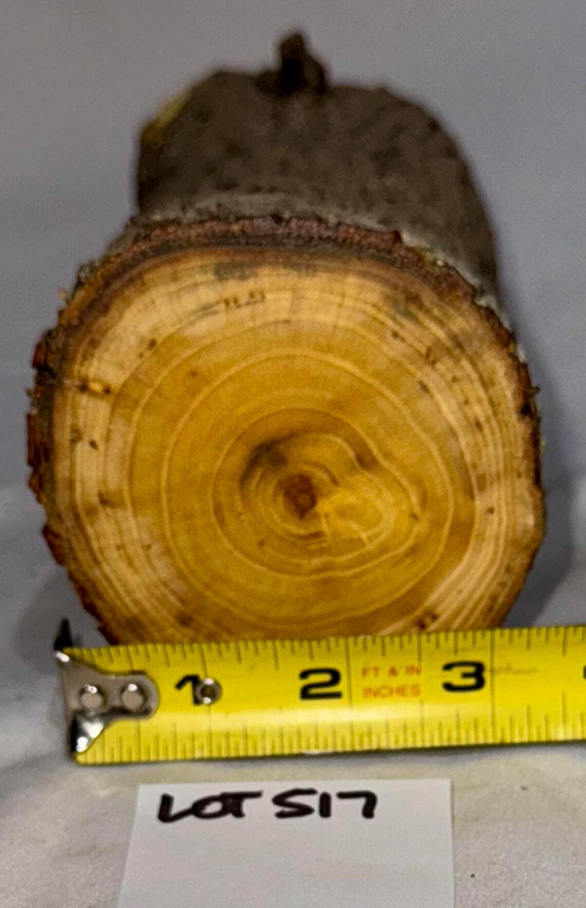 Mulberry Craft Wood Log, Woodworking Carving Blank (11x3.5 In) - Etsy