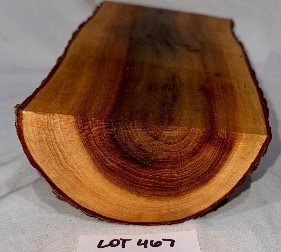 One Piece American Hornbeam,ironwood,musclewood,blue Beech Blank ...