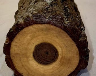 Spalted Red Oak Craft Log, Project Wood for Woodworking, Wood Carving ...