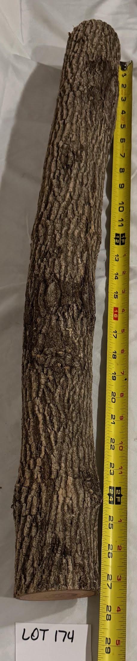 One Piece Ash Project Log for Woodturning, Woodworking, Woodcarving ...