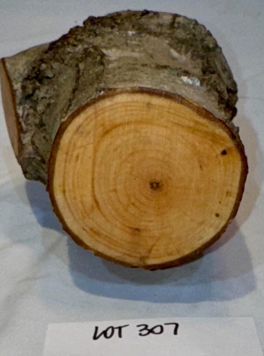 Red Maple Wood Log, Branch Crotch Junction, Green Woodworking Project ...