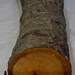 Honey Locust Craft Log, Green Project Wood for Wood Working, Wood ...