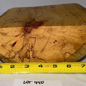 Spalted Maple Wood Blank, Project Wood for Carving, Turning - Etsy