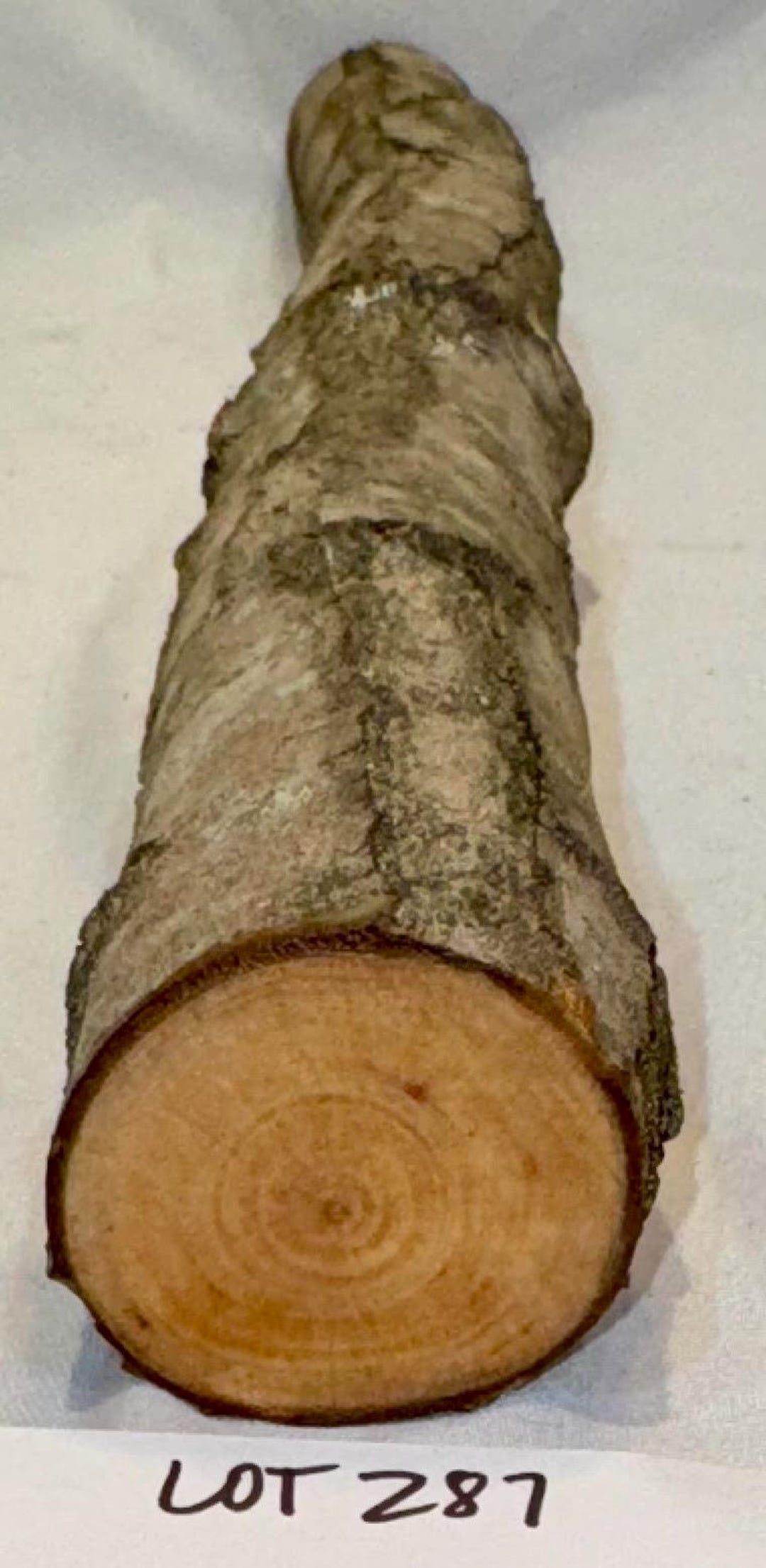 Red Maple Craft Log, Soft Maple Project Log for Wood Working, Wood ...