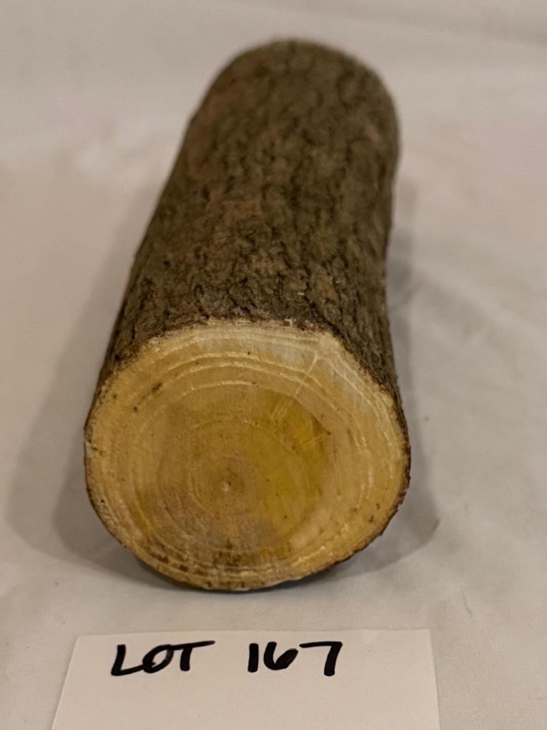 One Piece Mulberry Project Wood for Woodturning, Woodworking, Turning ...