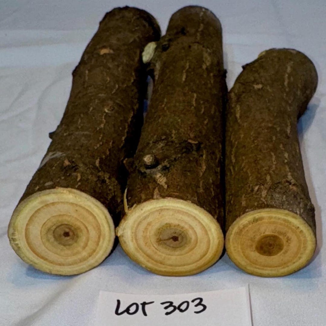 3 Pieces Black Locust Craft Logs, Green Project Wood for Wood Carving ...