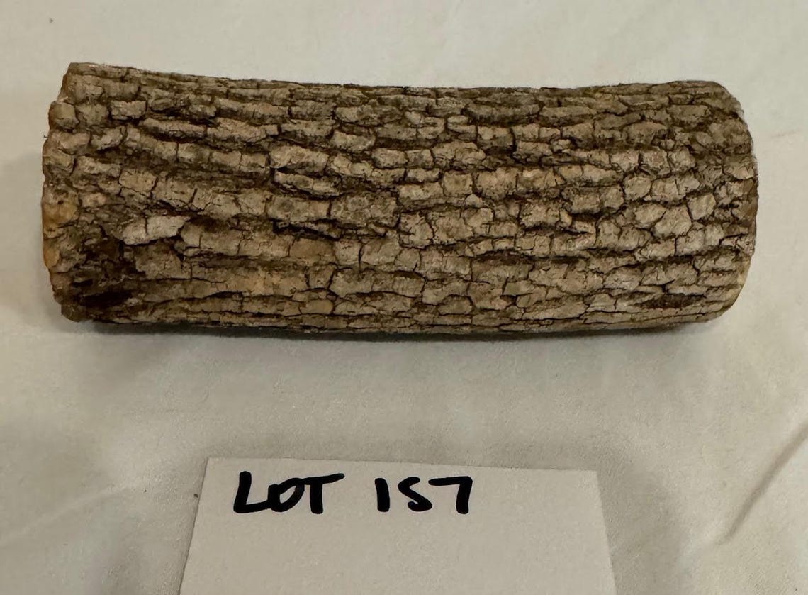 Ash Craft Log, Woodturning Woodcarving Blank (5.5x2.25) - Etsy