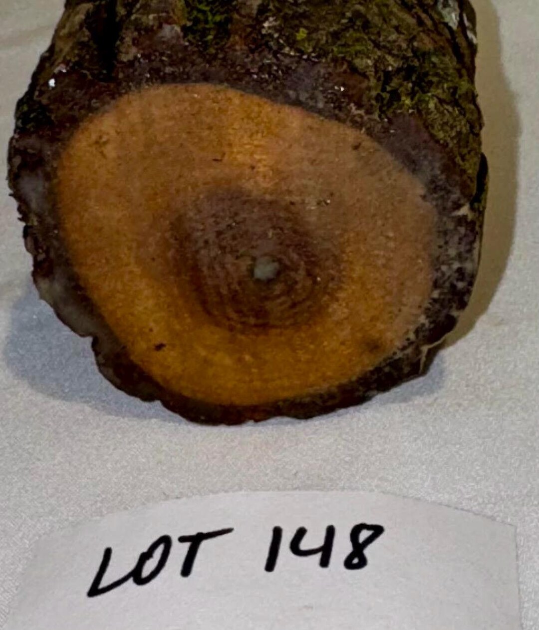 One Piece Black Walnut Craft Log for Woodworking, Woodturning, Turning ...