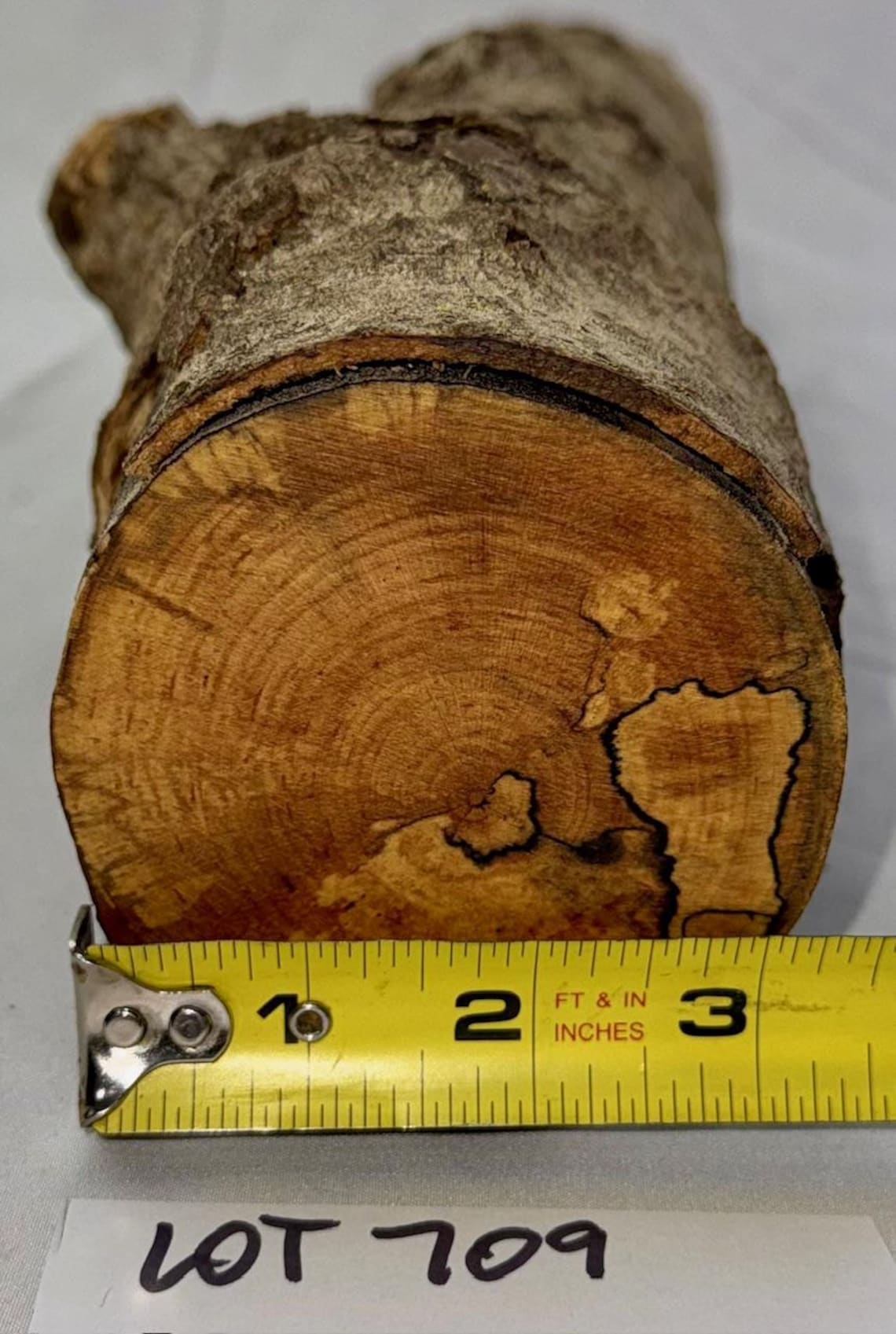 Spalted Maple Craft Log With Branch Junction, Woodworking, Carving ...