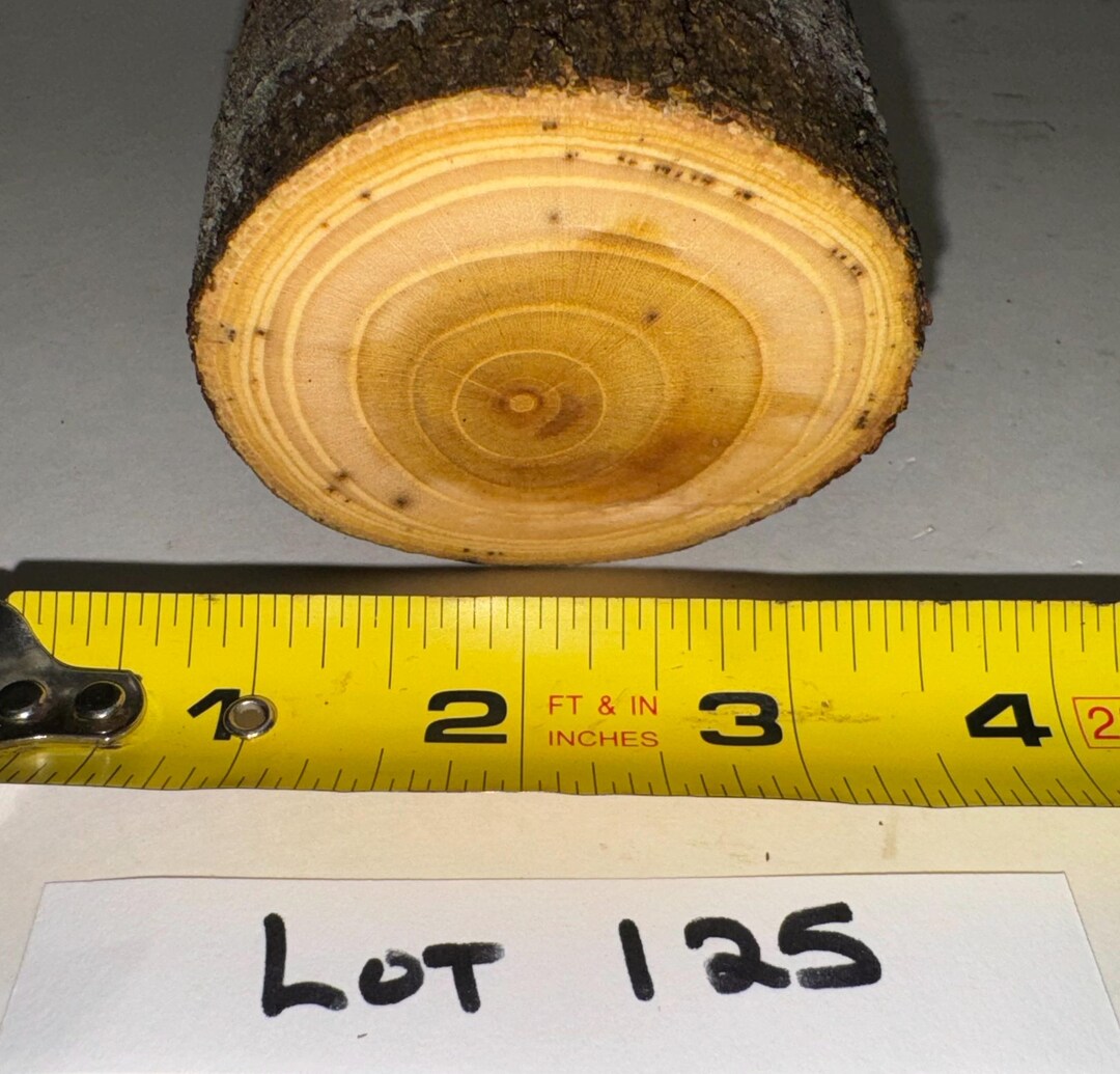 One Piece Mulberry Craft Log for Woodworking, Woodturning, Turning ...