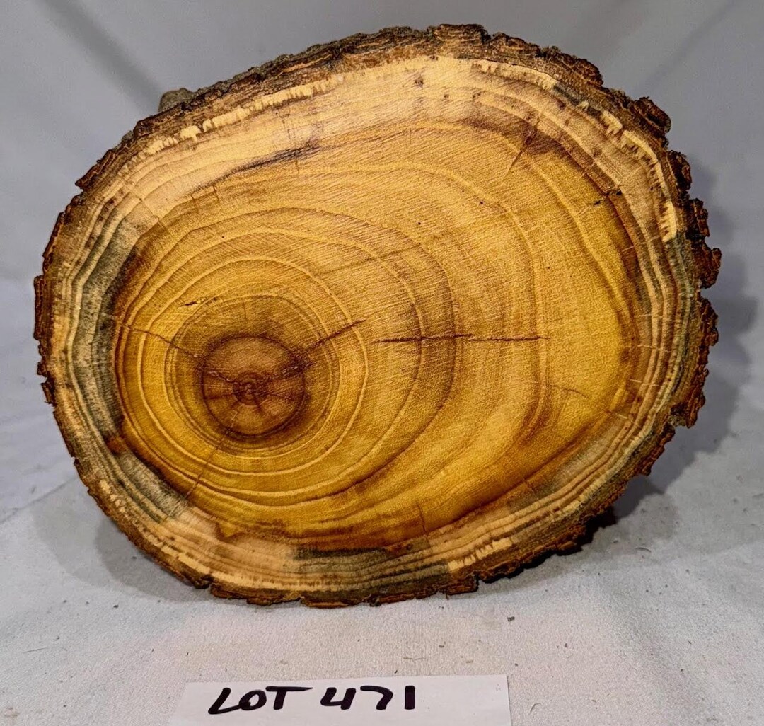 Large Mulberry Wood Project Log, Woodworking, Carving, Turning Blank - Etsy