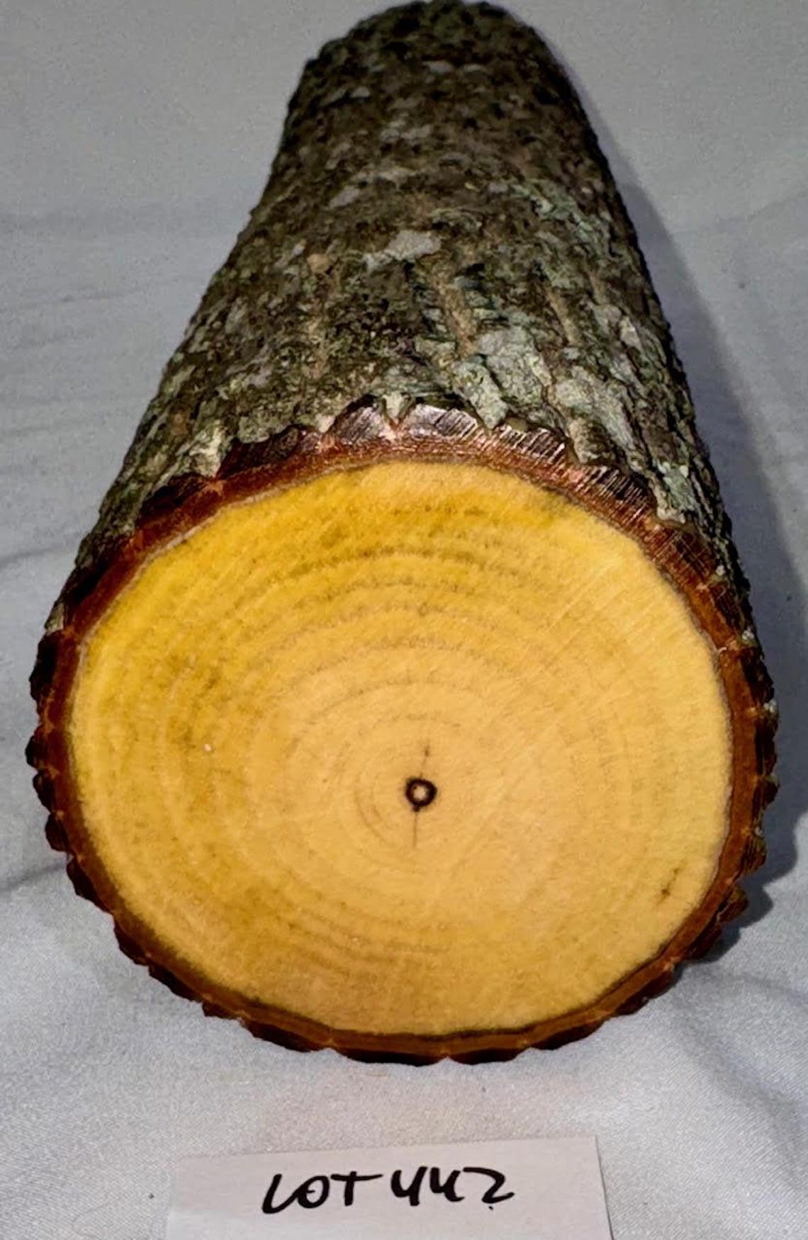 Persimmon Project Log, Green Project Wood for Woodworking, Wood Carving ...