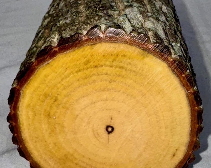 Persimmon Project Log, Green Project Wood for Woodworking, Wood Carving ...