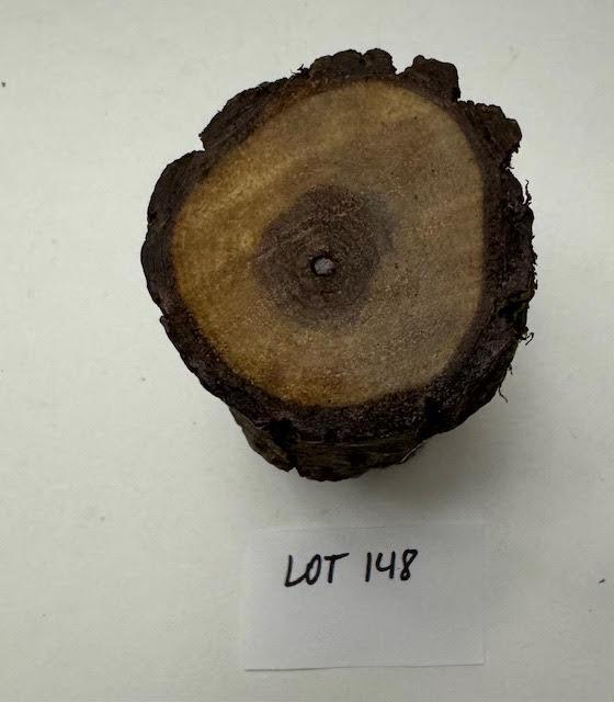 One Piece Black Walnut Craft Log for Woodworking, Woodturning, Turning ...
