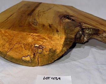 Spalted Red Oak Craft Log, Project Wood for Woodworking, Wood Carving ...