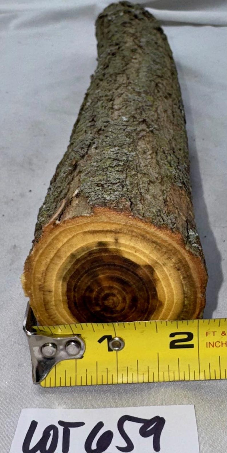 Black Locust Project Log, 15.5 X 2 Inches Green Wood - Etsy